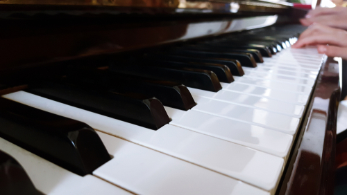 Can learning a musical instrument raise your I.Q.?